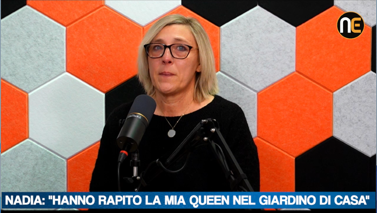 Cagnolina di razza rapita nel giardino di casa: l'appello disperato di ...