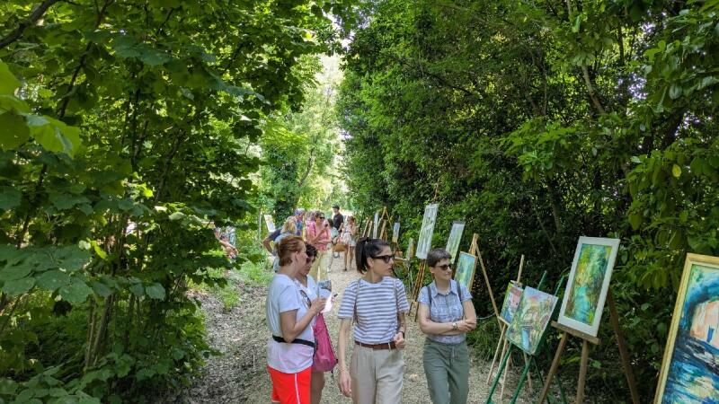 Mulini di Stalis, il 7 giugno una giornata tra mostre, musica e ...